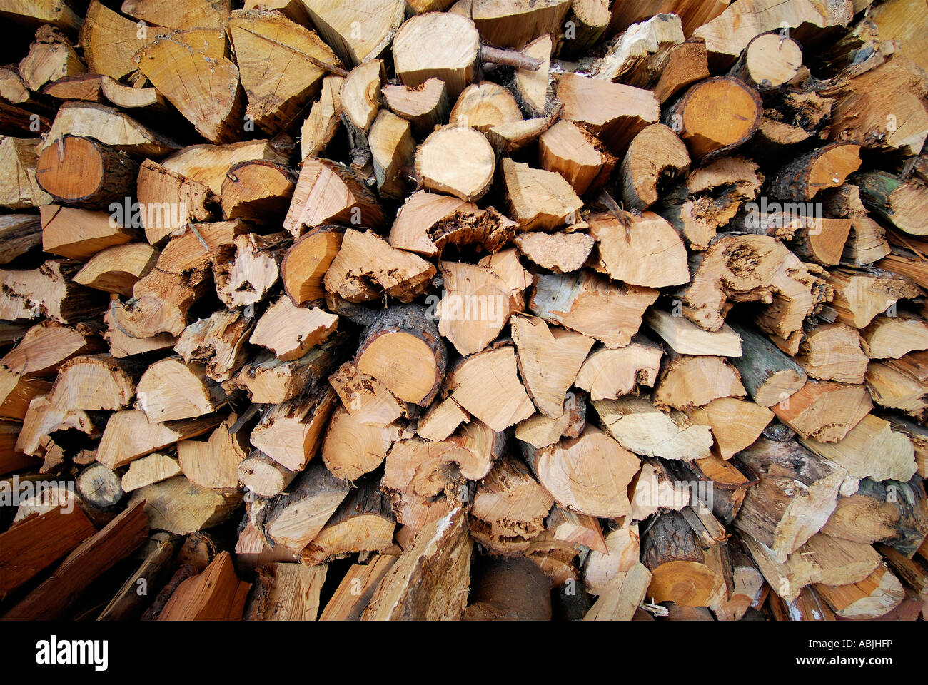 Wood Logs. Picture by Patrick Steel Stock Photo - Alamy