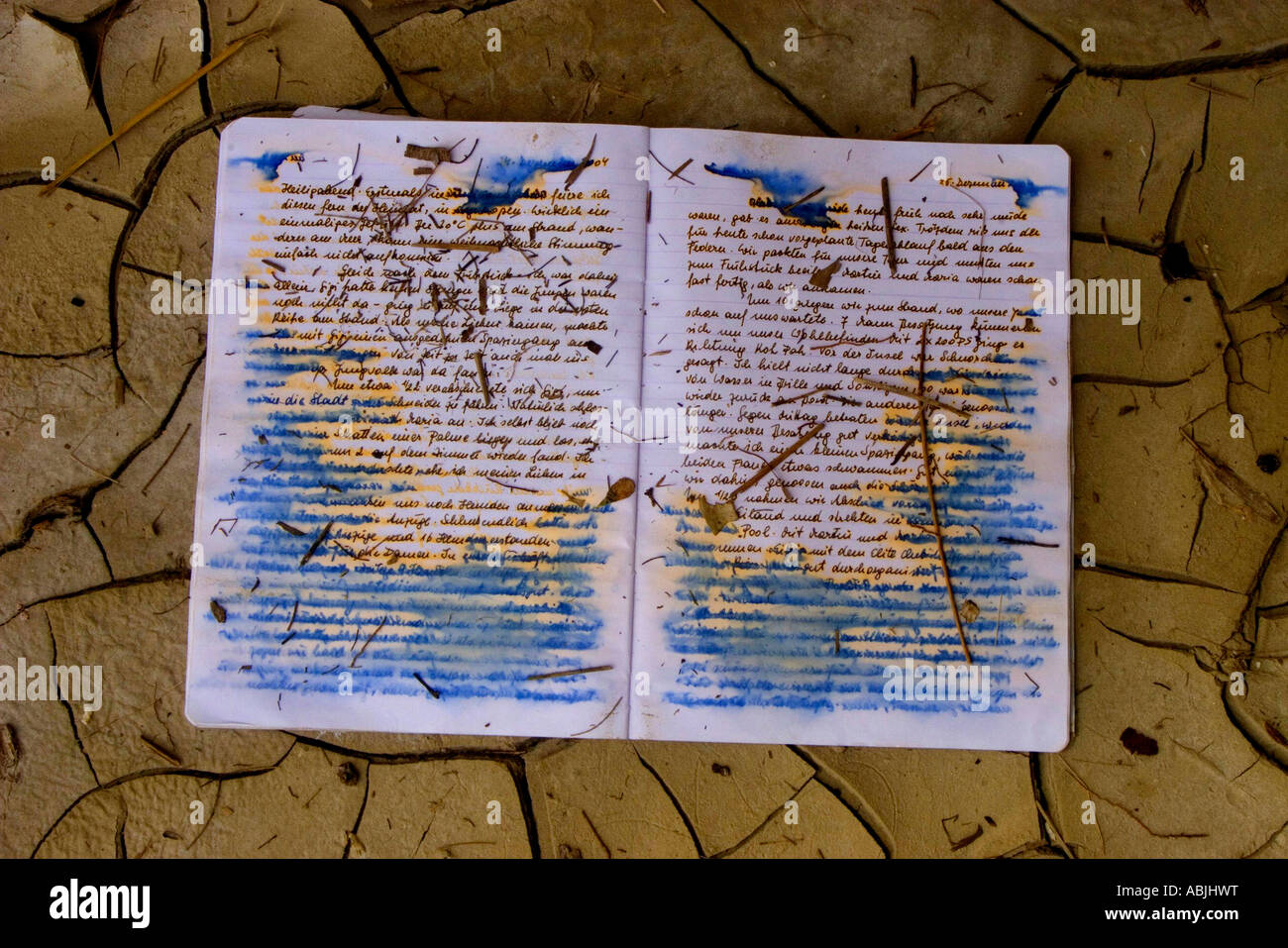 Destroyed book hi-res stock photography and images - Alamy