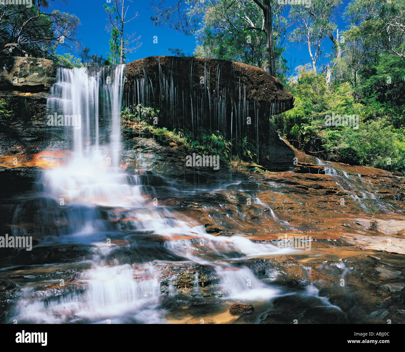 Weeping falls hi-res stock photography and images - Alamy