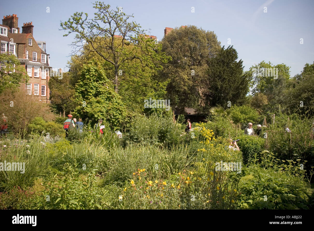 Chelsea Physic Garden London England UK Stock Photo - Alamy