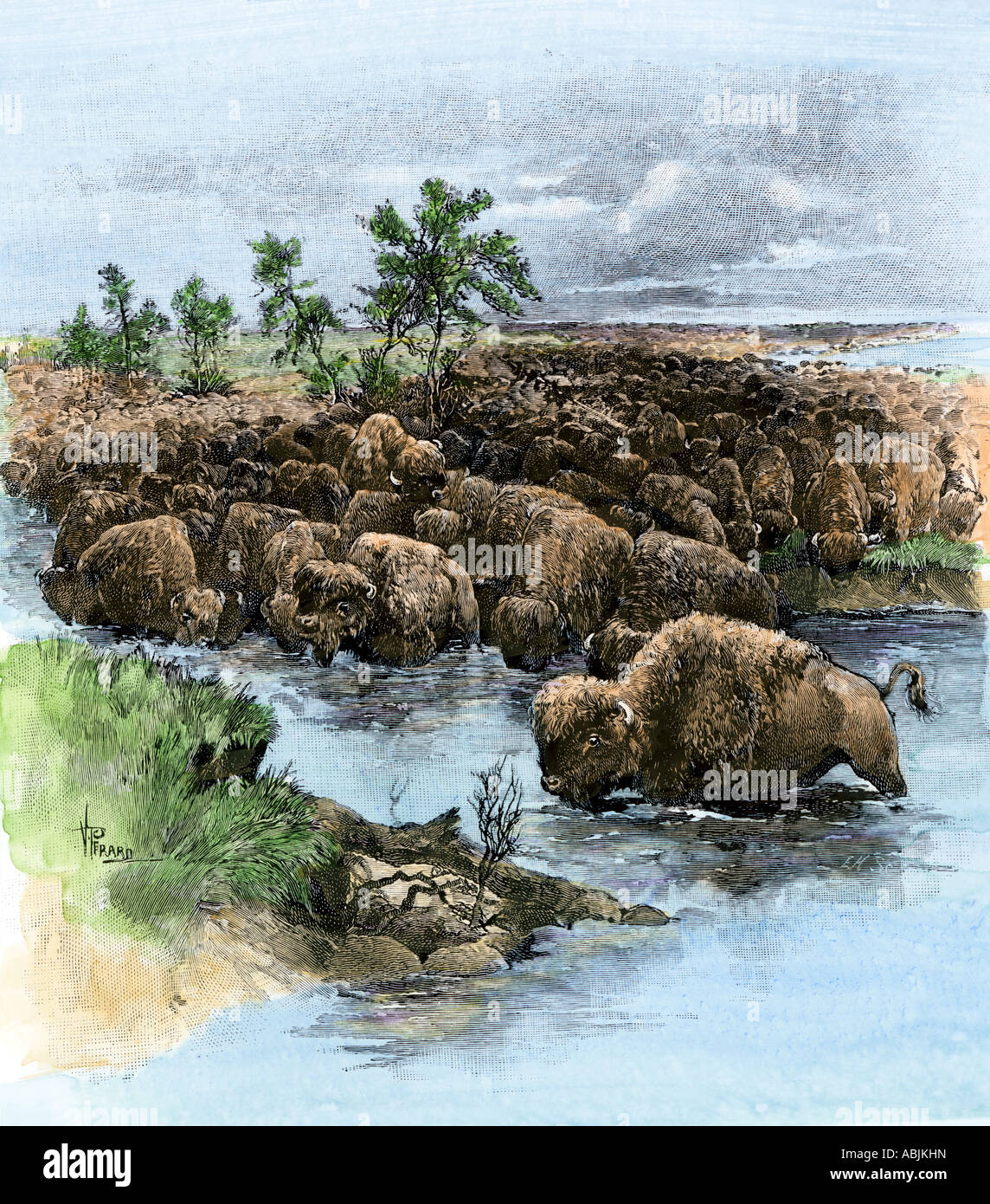 Prehistoric Bison High Resolution Stock Photography and Images - Alamy