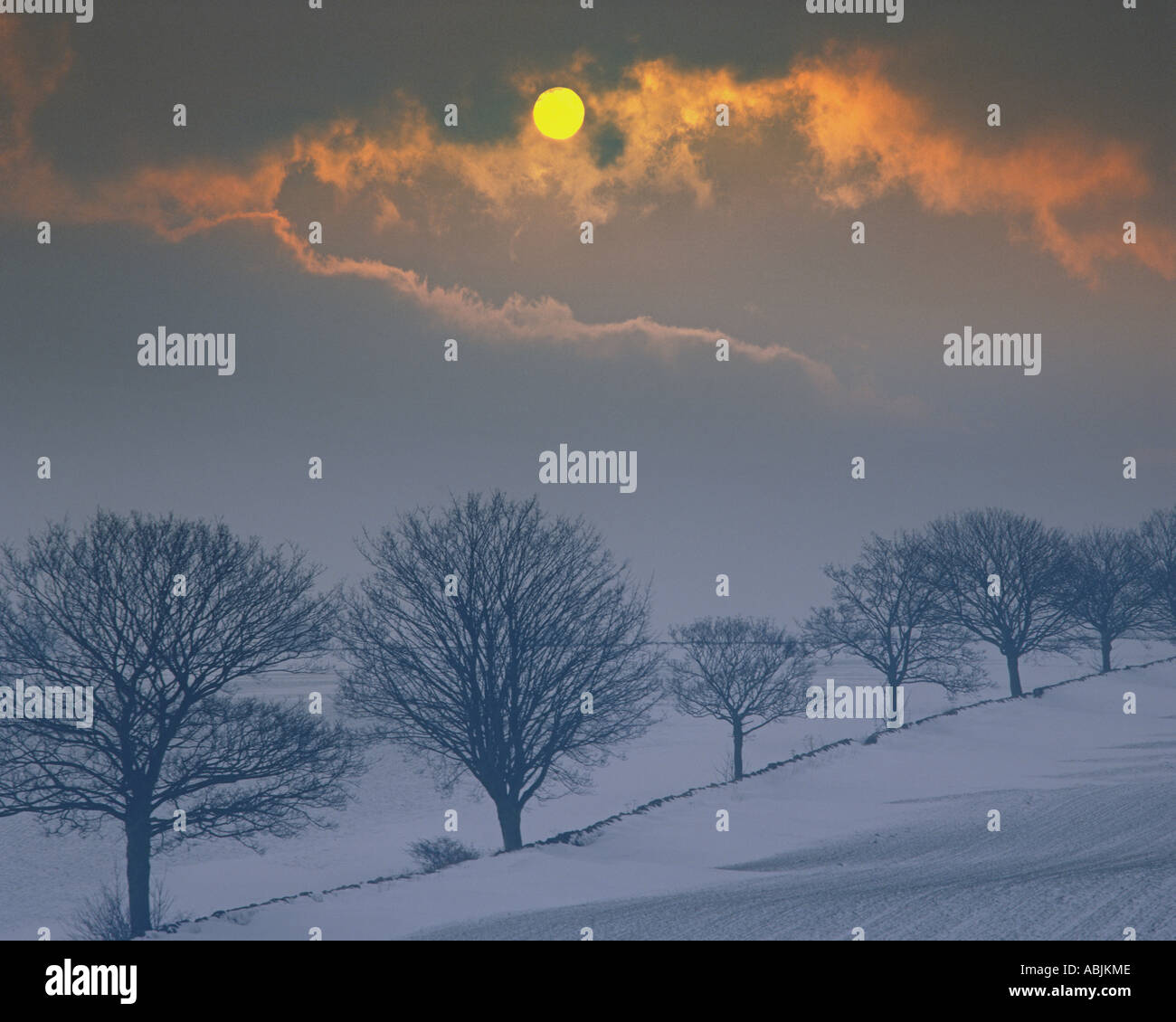 GB - GLOUCESTERSHIRE: Winter in the Cotswolds Stock Photo - Alamy