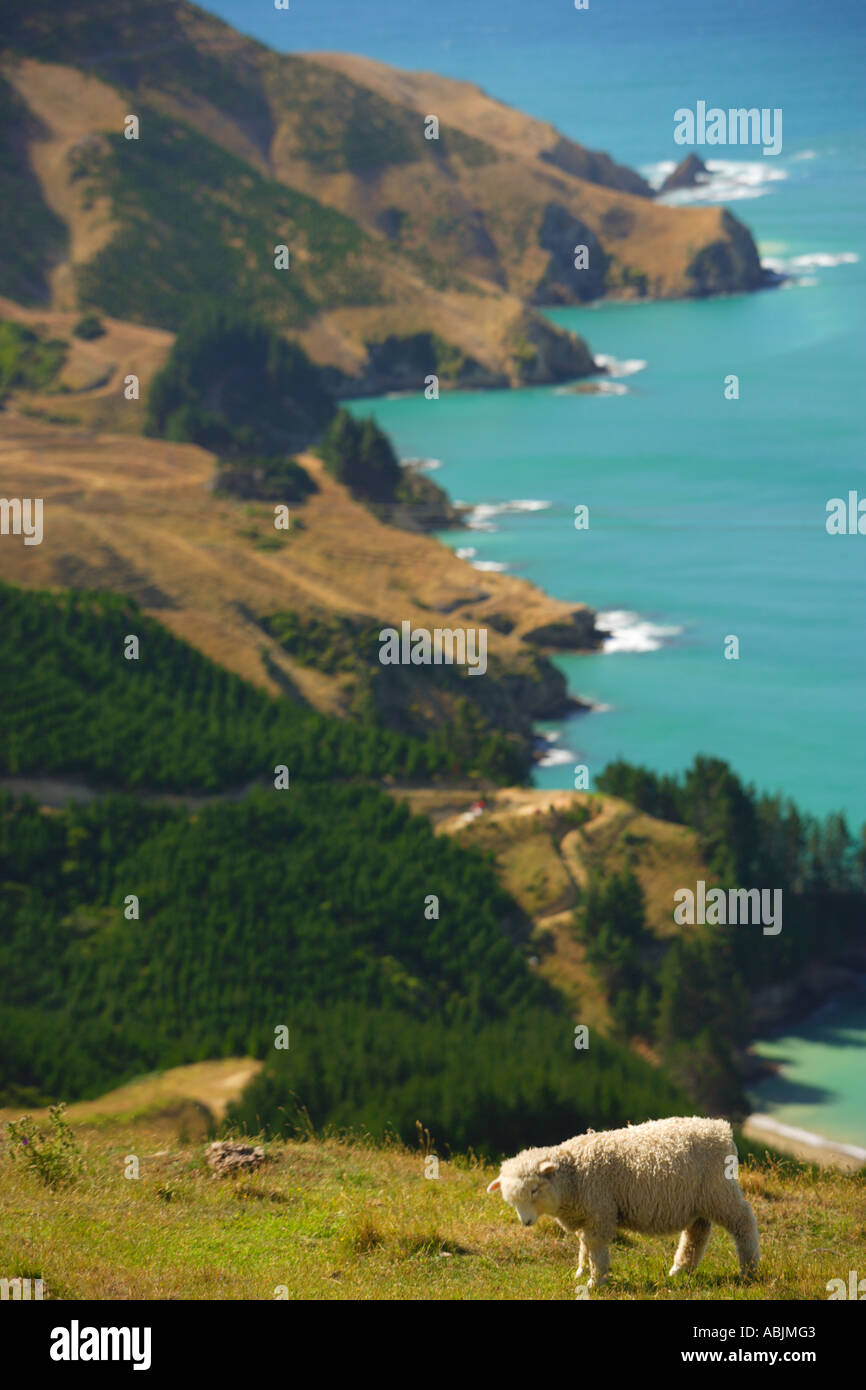 Nz new zealand french bay hi-res stock photography and images - Alamy