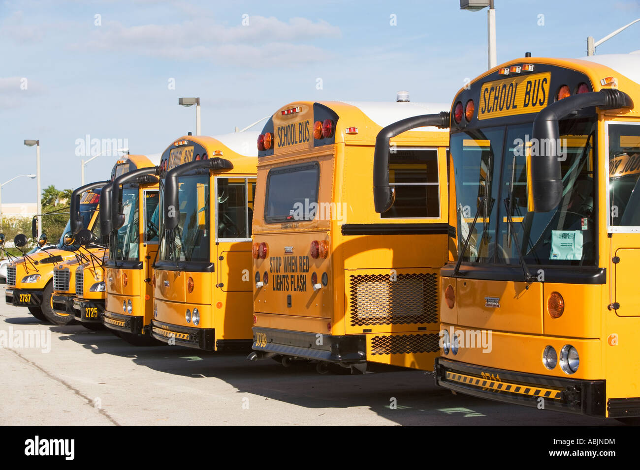 Row of school buses Stock Photo - Alamy