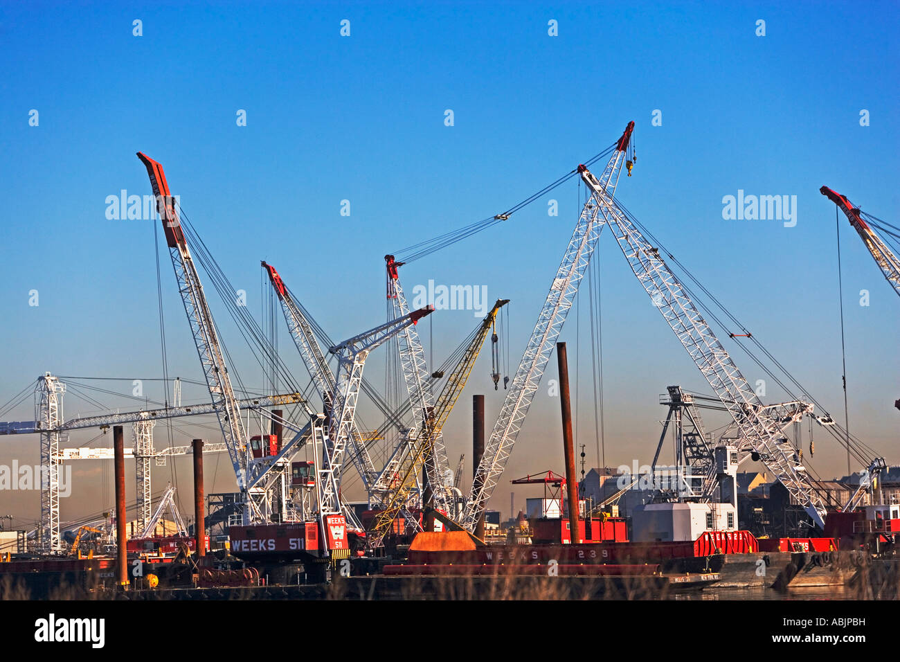 Cranes on hi-res stock photography and images - Alamy