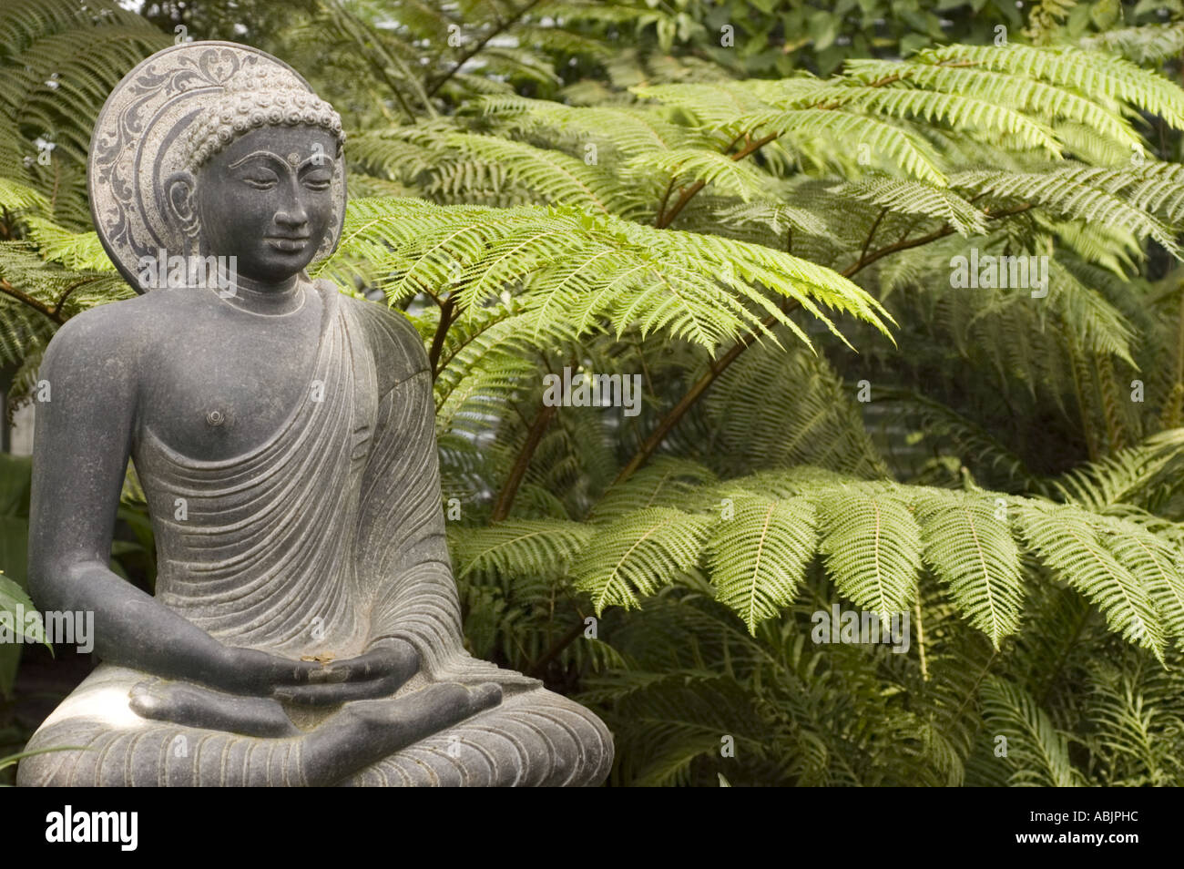 Stone statue of Lord Buddha meditating in Bodhgaya under Bodhi tree to ...