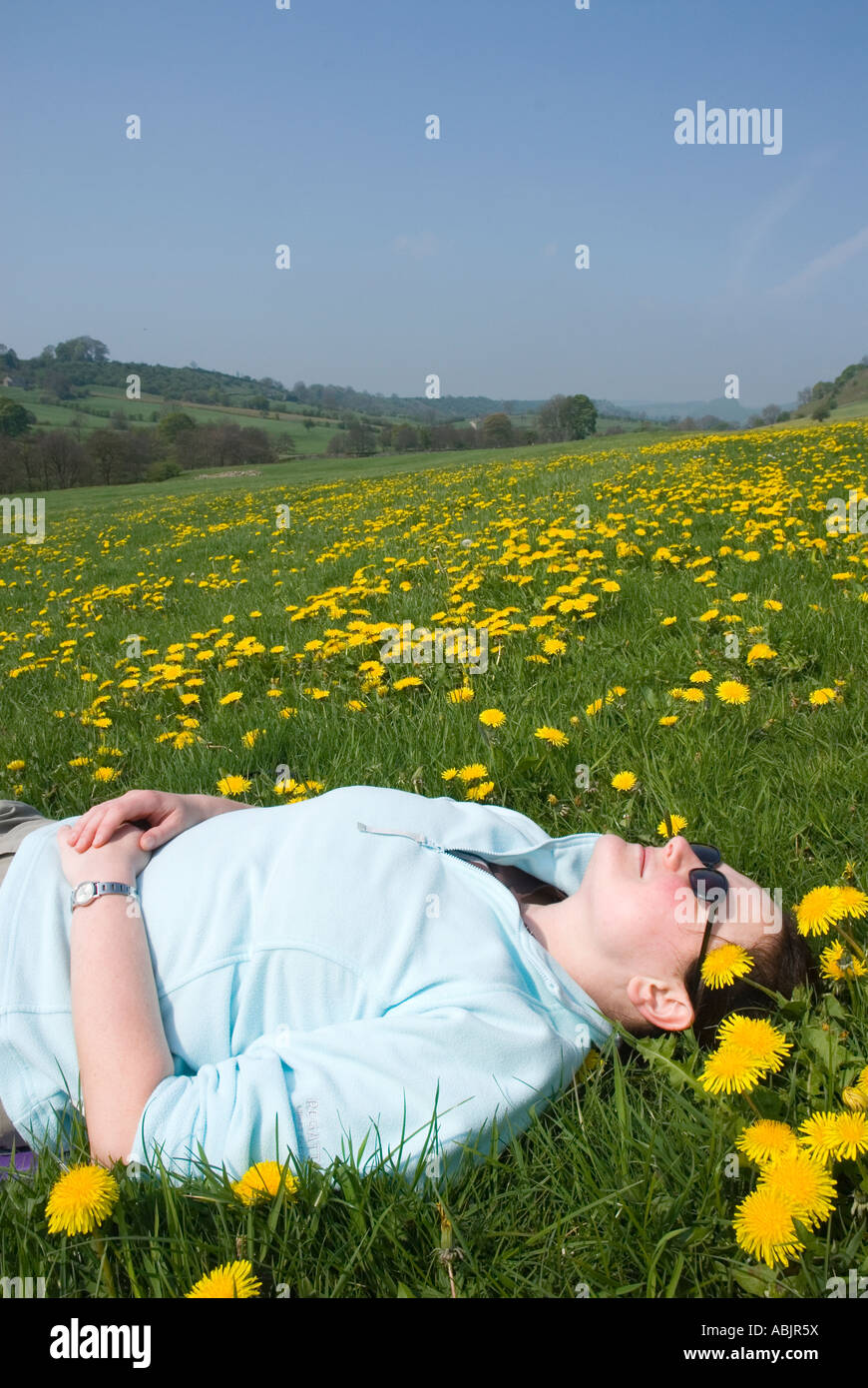 Dandelion Meadow, Hartington, Dove Valley, Peak District, Derbyshire ...