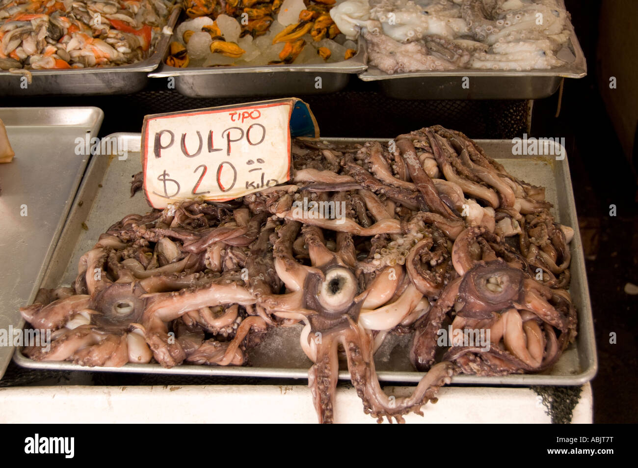 Fresh Squid at the Ensenada Fish Market Stock Photo - Alamy
