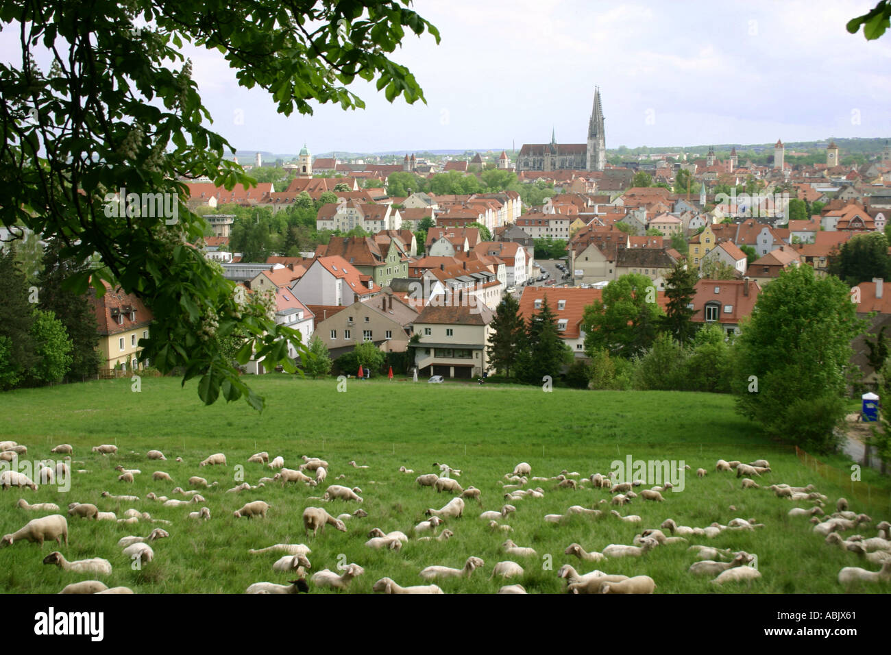 Regensburg cathedral view from hi-res stock photography and images - Alamy