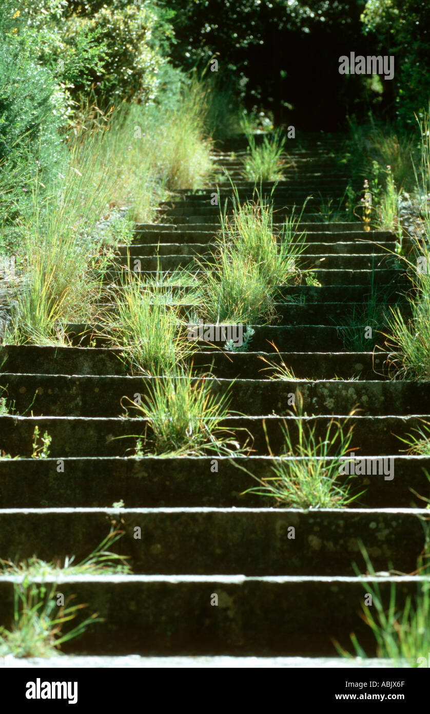 old overgrown stone steps Nocelle Positano Amalfi Coast Italy Stock ...