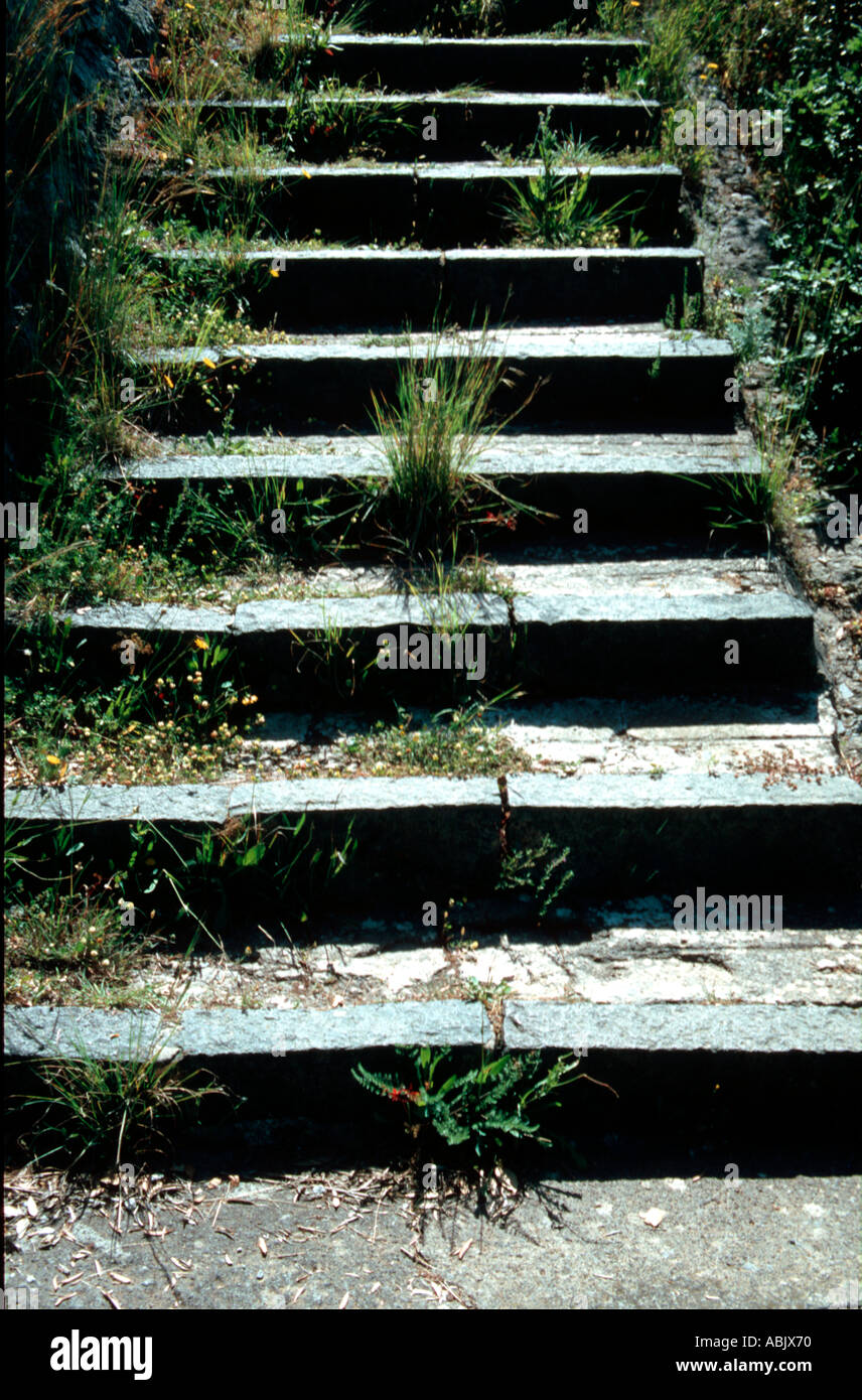 old overgrown stone steps Nocelle Positano Amalfi Coast Italy Stock ...