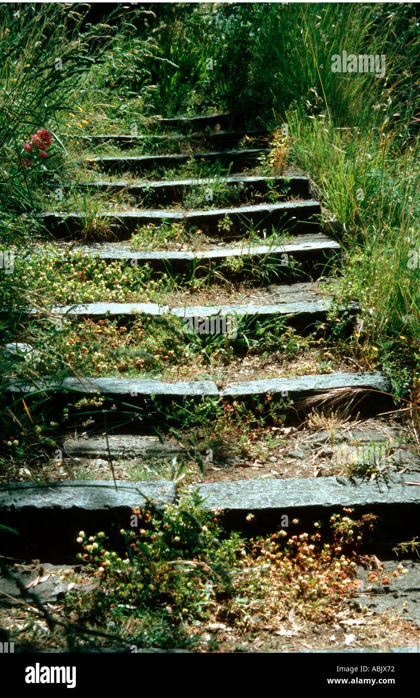 old overgrown stone steps Nocelle Positano Amalfi Coast Italy Stock ...
