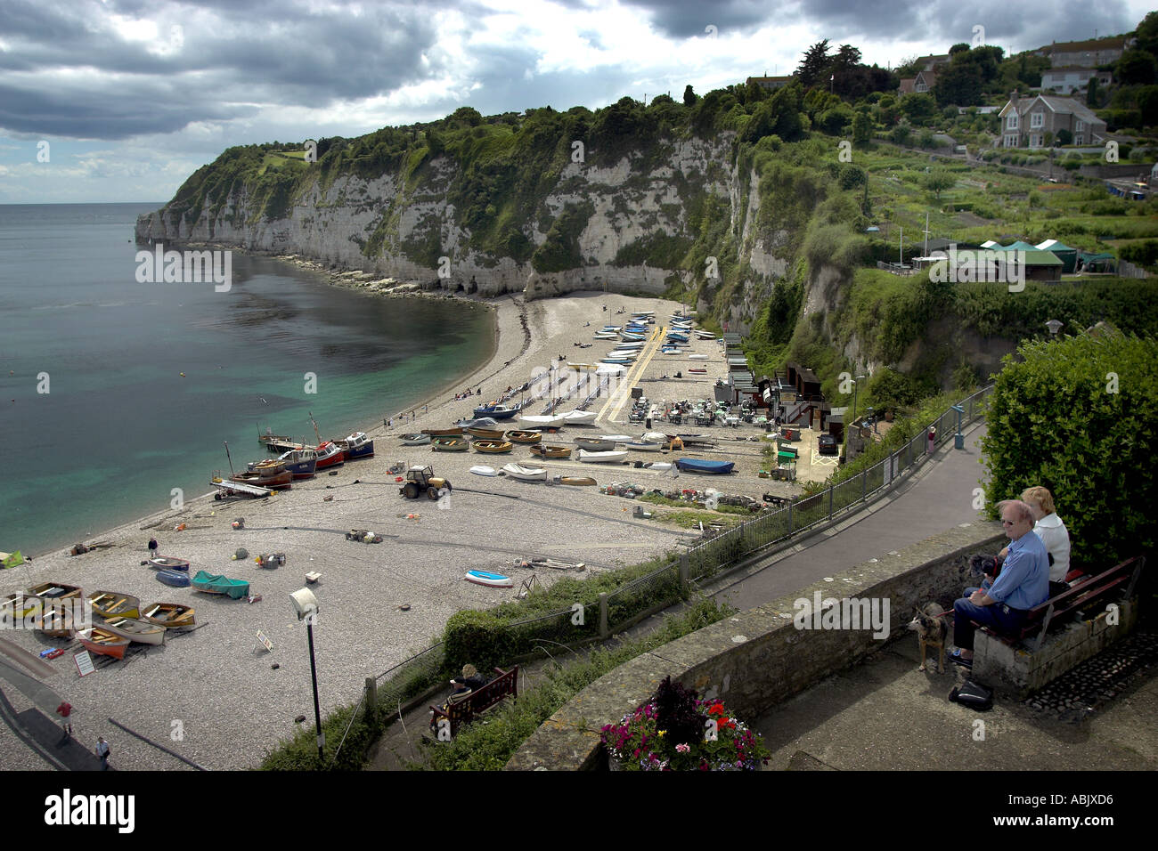 View of the beach from the cliffs of Beer in Devon Stock Photo - Alamy