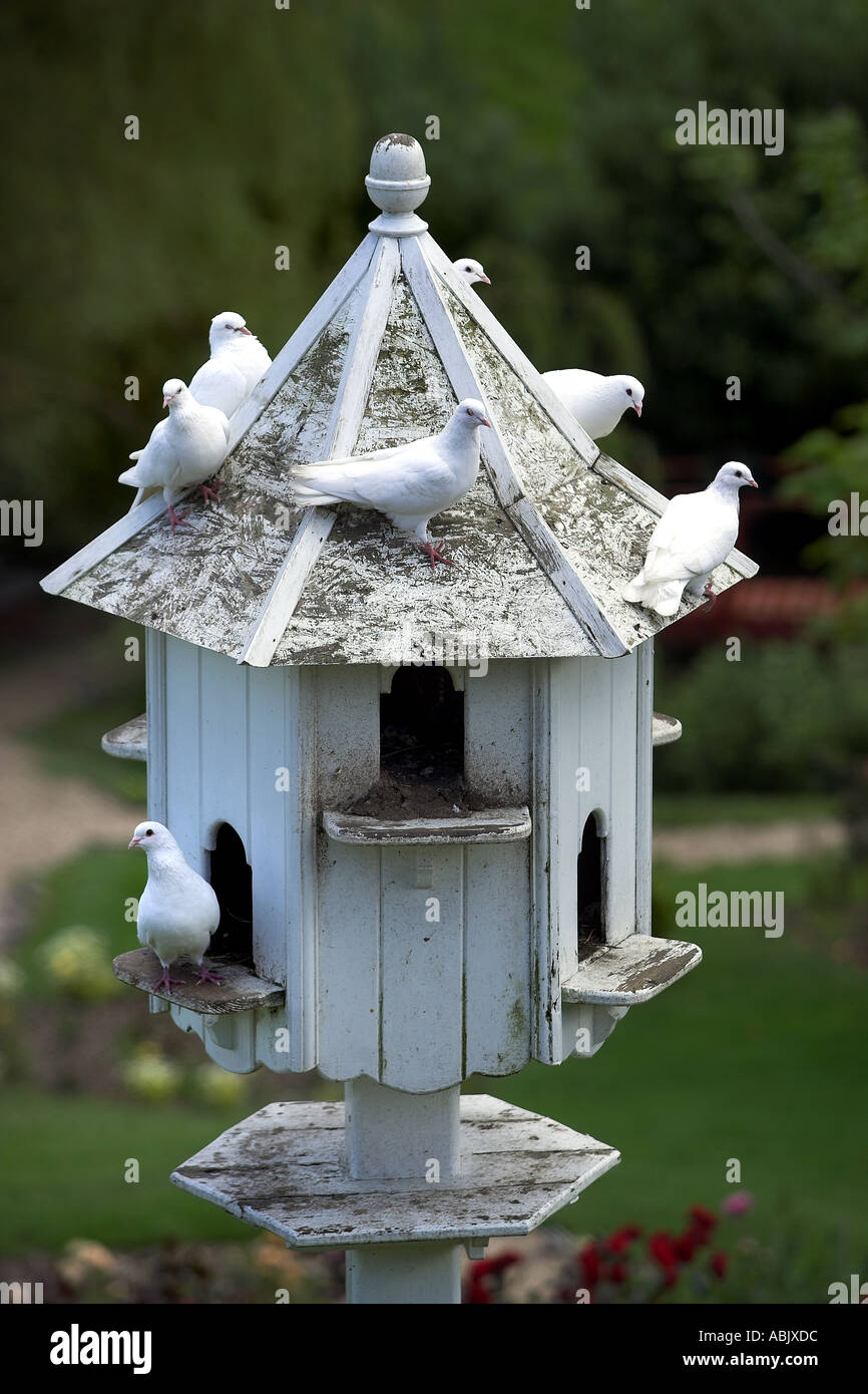 Dovecote hi-res stock photography and images - Alamy