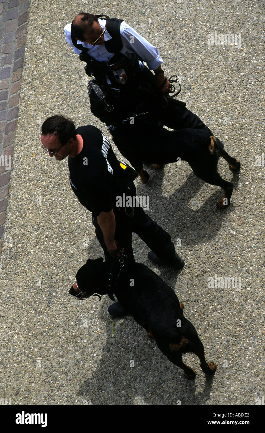 French police with dogs at a football match in Paris, France Stock ...