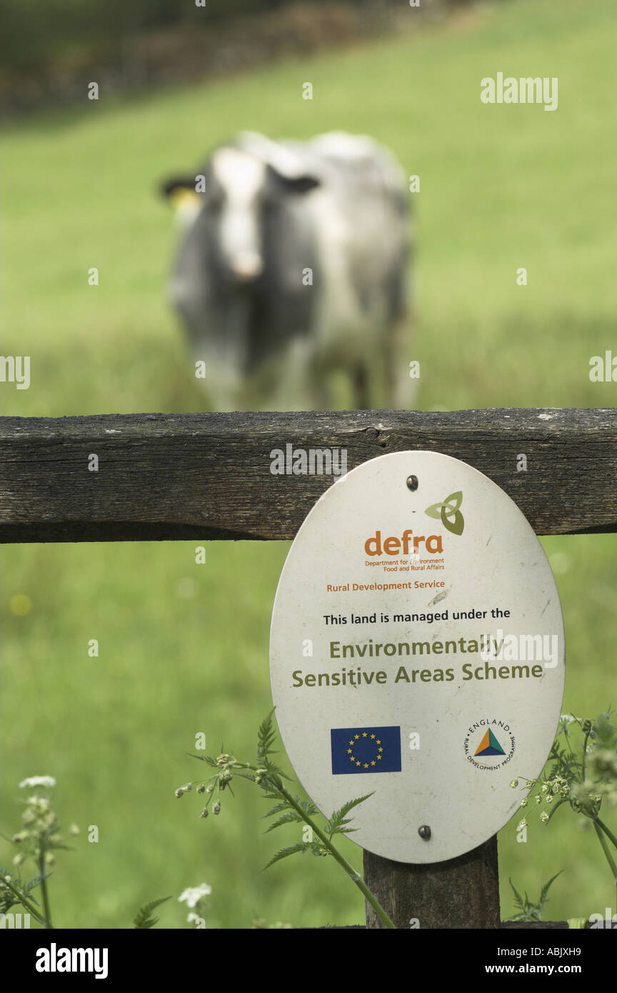 Defra environmentally sensitive areas scheme sign on gate with cattle ...