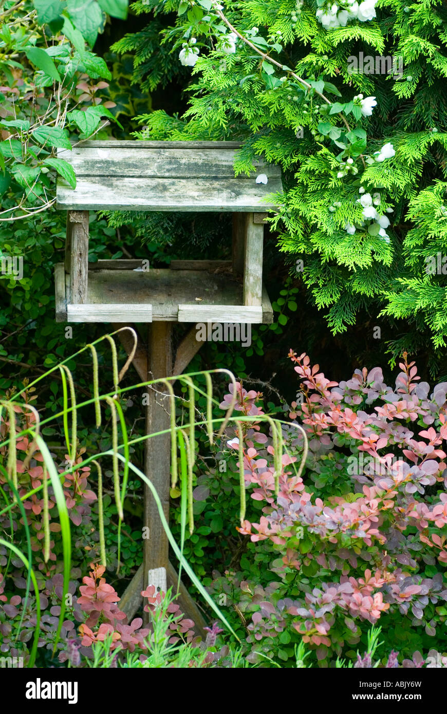 Bird feeding table hi-res stock photography and images - Alamy