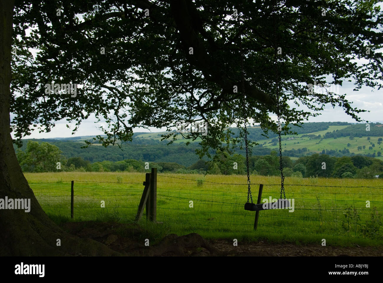 Tree Swing in the Country Stock Photo - Alamy