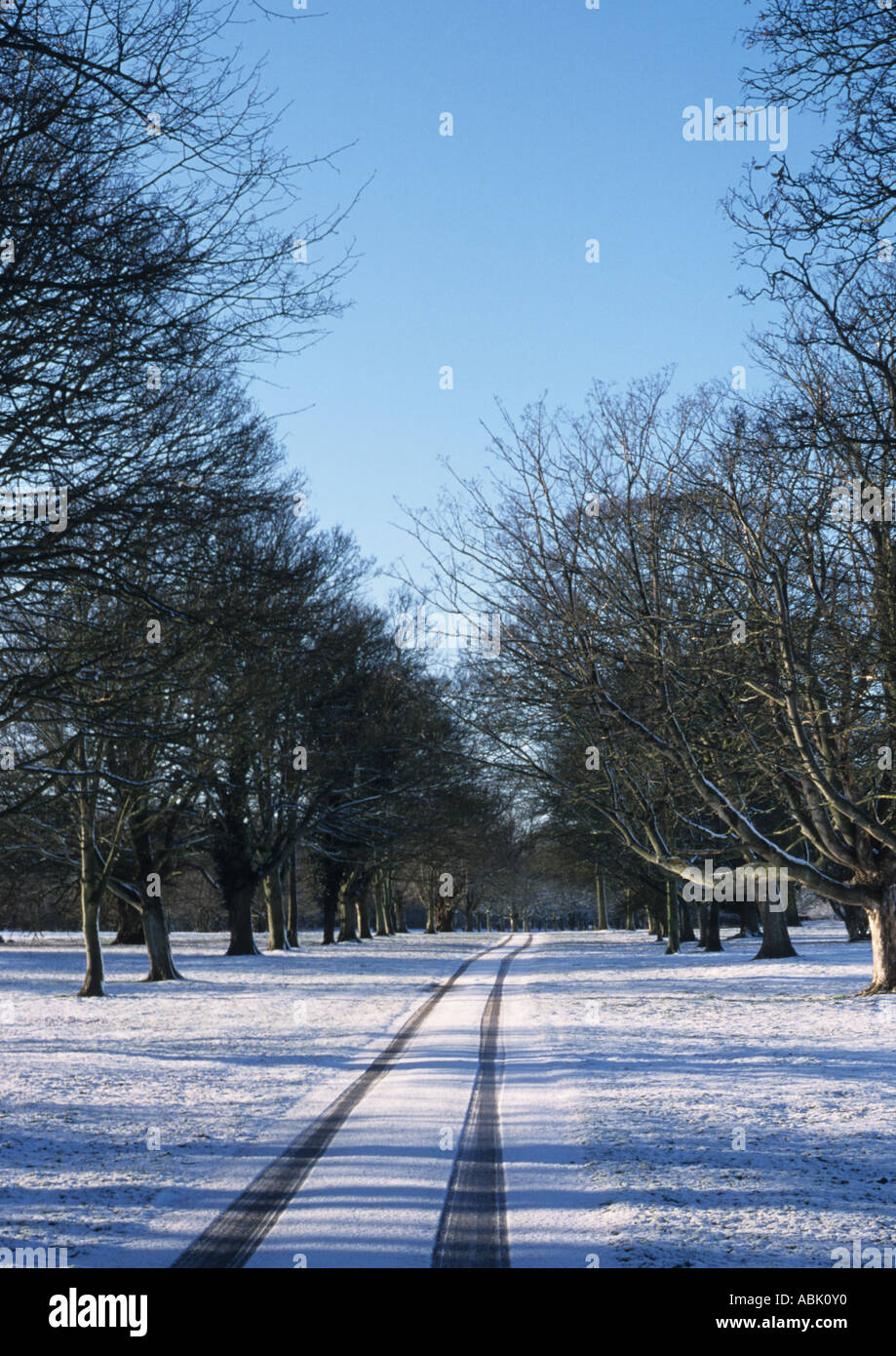 Snow On The Benacre Estate In Suffolk Uk Stock Photo - Alamy