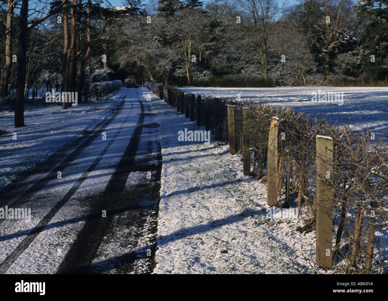 Snow On The Benacre Estate In Suffolk Uk Stock Photo - Alamy