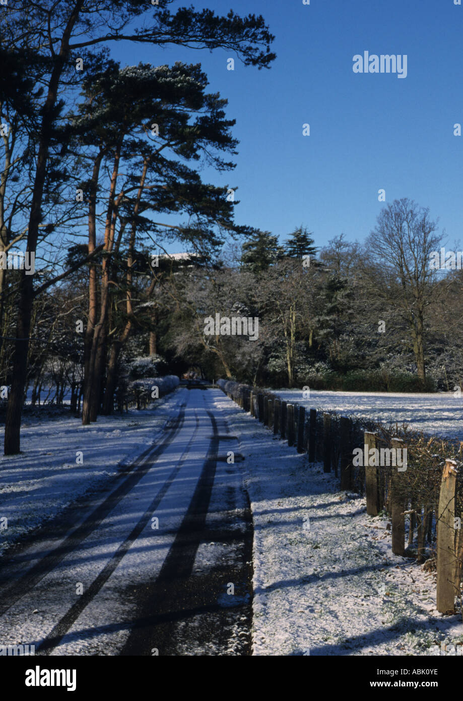 Snow On The Benacre Estate In Suffolk Uk Stock Photo - Alamy