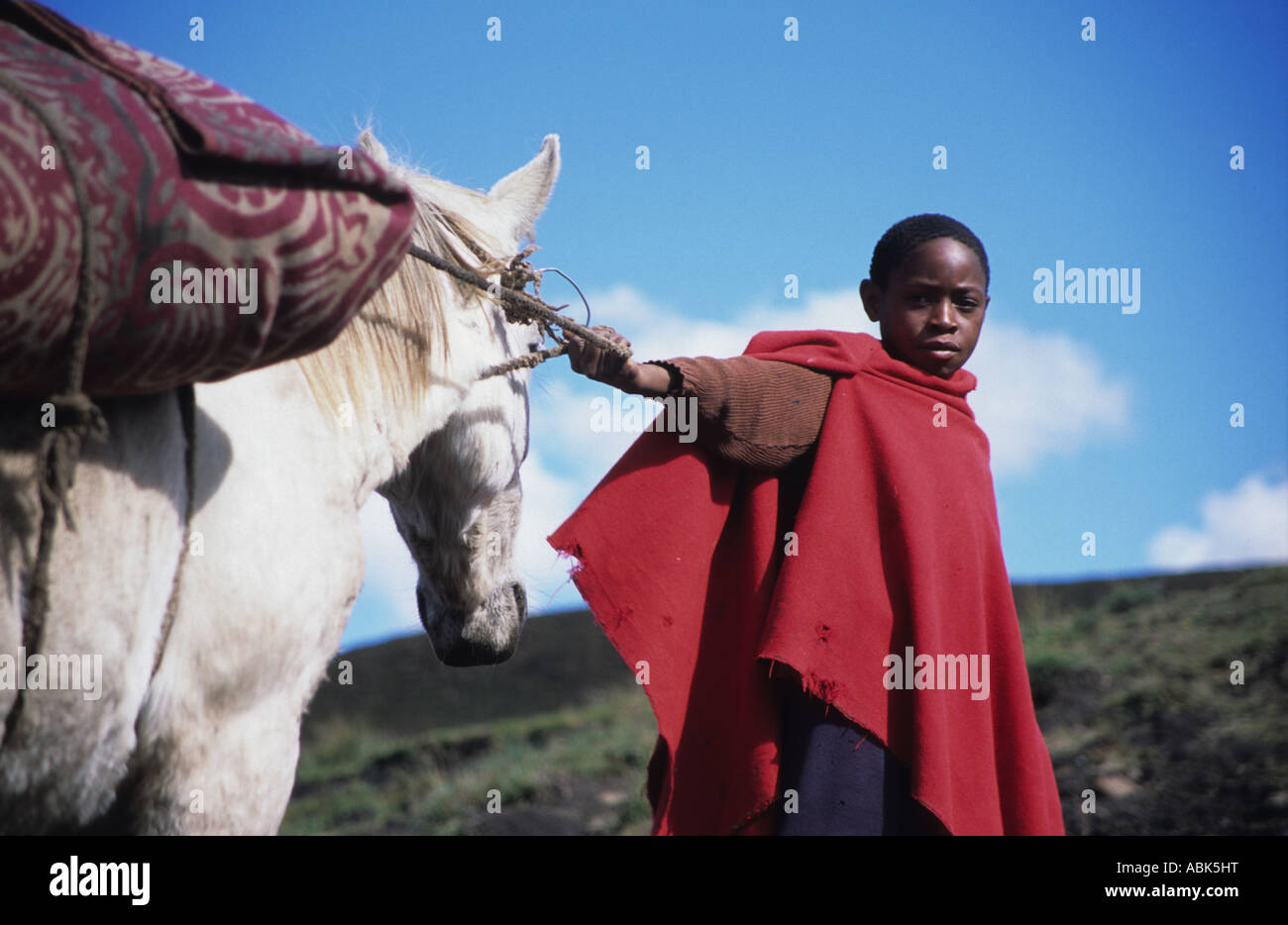 A young boy pulls his Basotho pony in the mountains of Lesotho ...