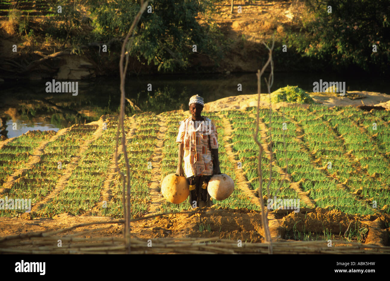A man working in the fields, Dogon country, Mali, West Africa Stock ...