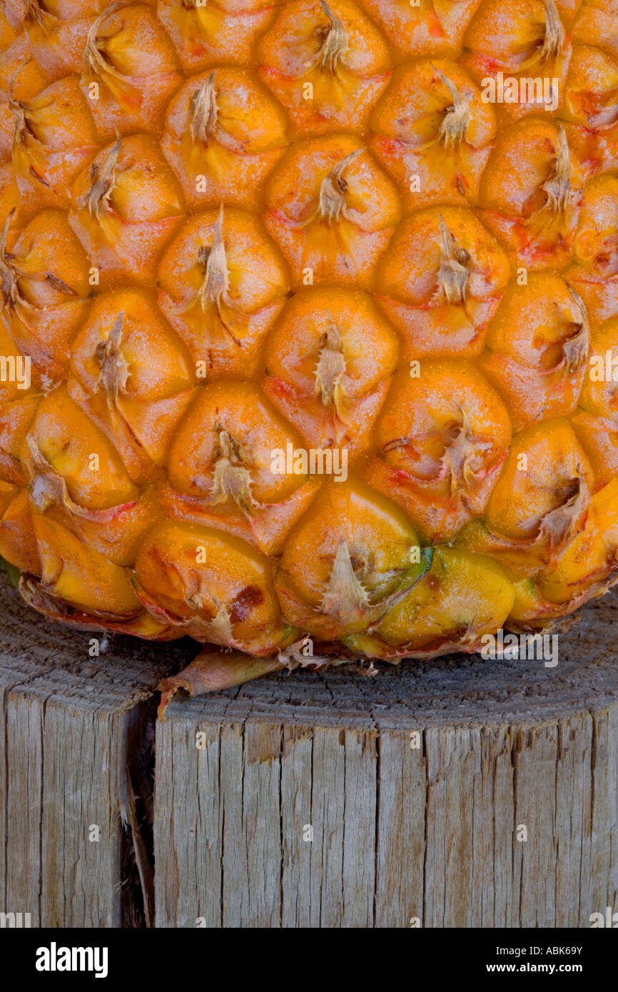 Pineapple on log detail - close up Stock Photo - Alamy