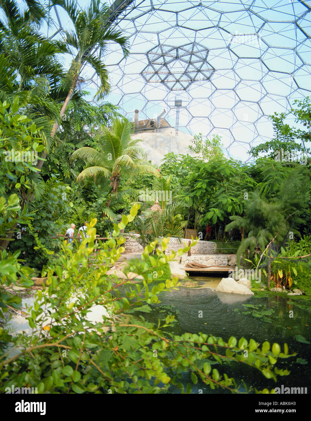 Biomes at eden project interior hi-res stock photography and images - Alamy