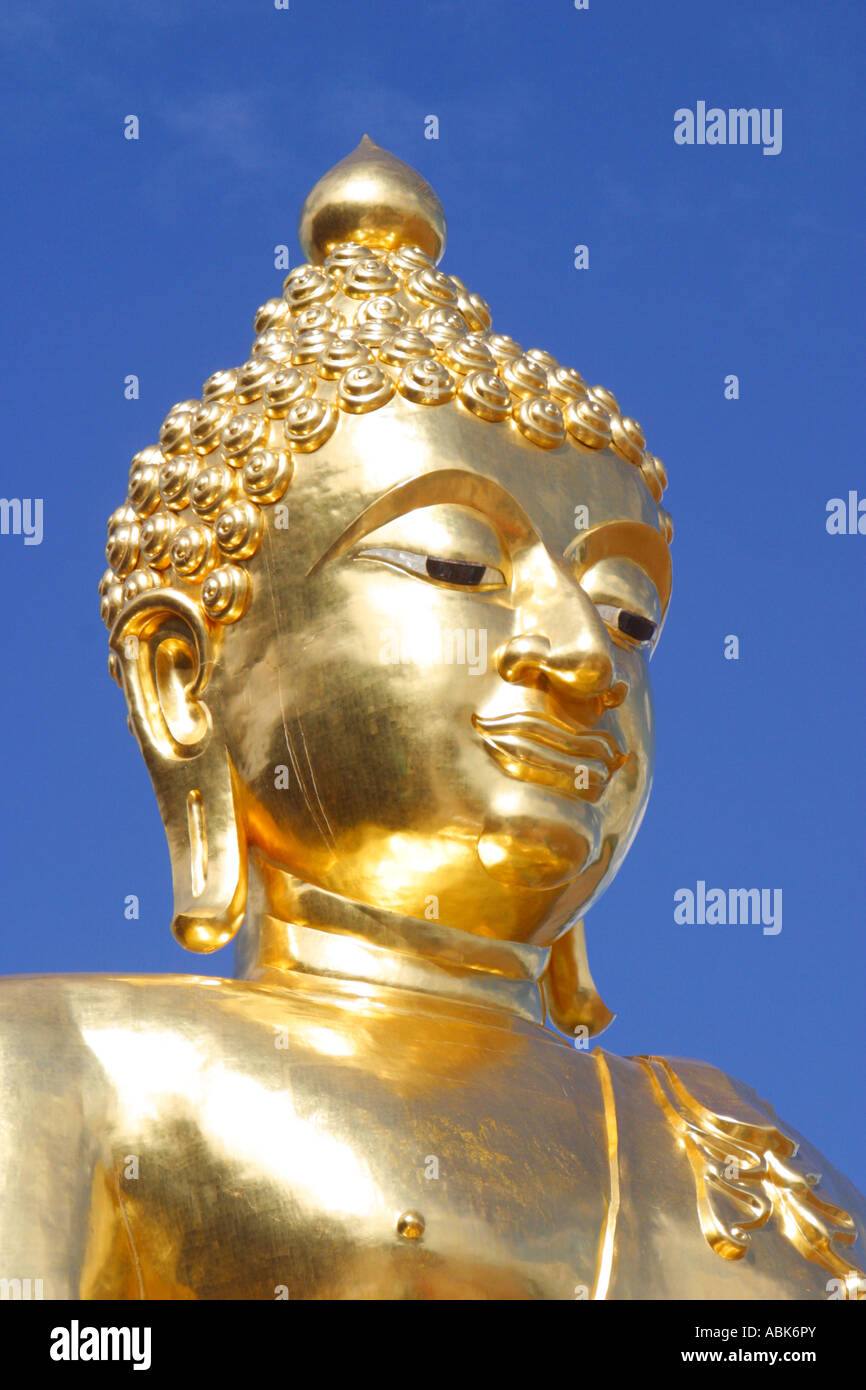 Gold buddha at Sop Ruak, Golden Triangle, northern Thailand Stock Photo ...