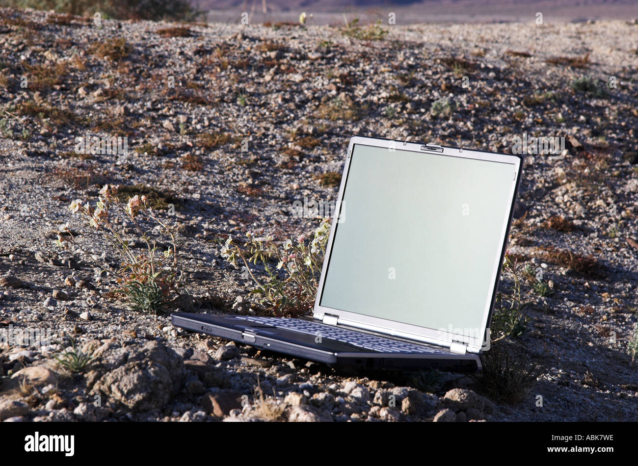 Laptop in a desert Stock Photo - Alamy