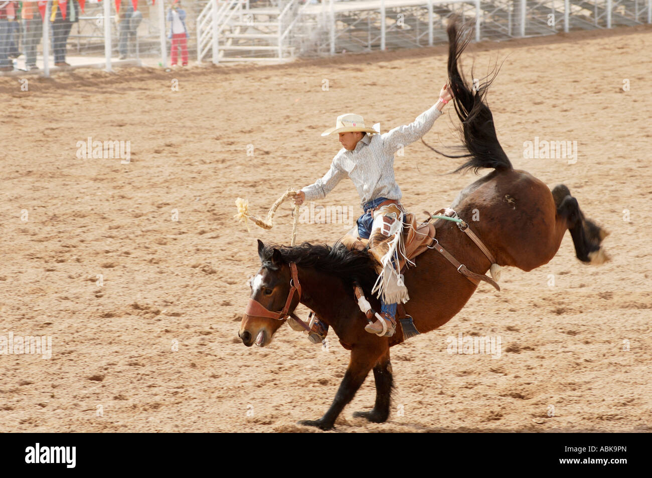 saddle bronc riding event at an all-indian rodeo in Arizona Stock Photo ...