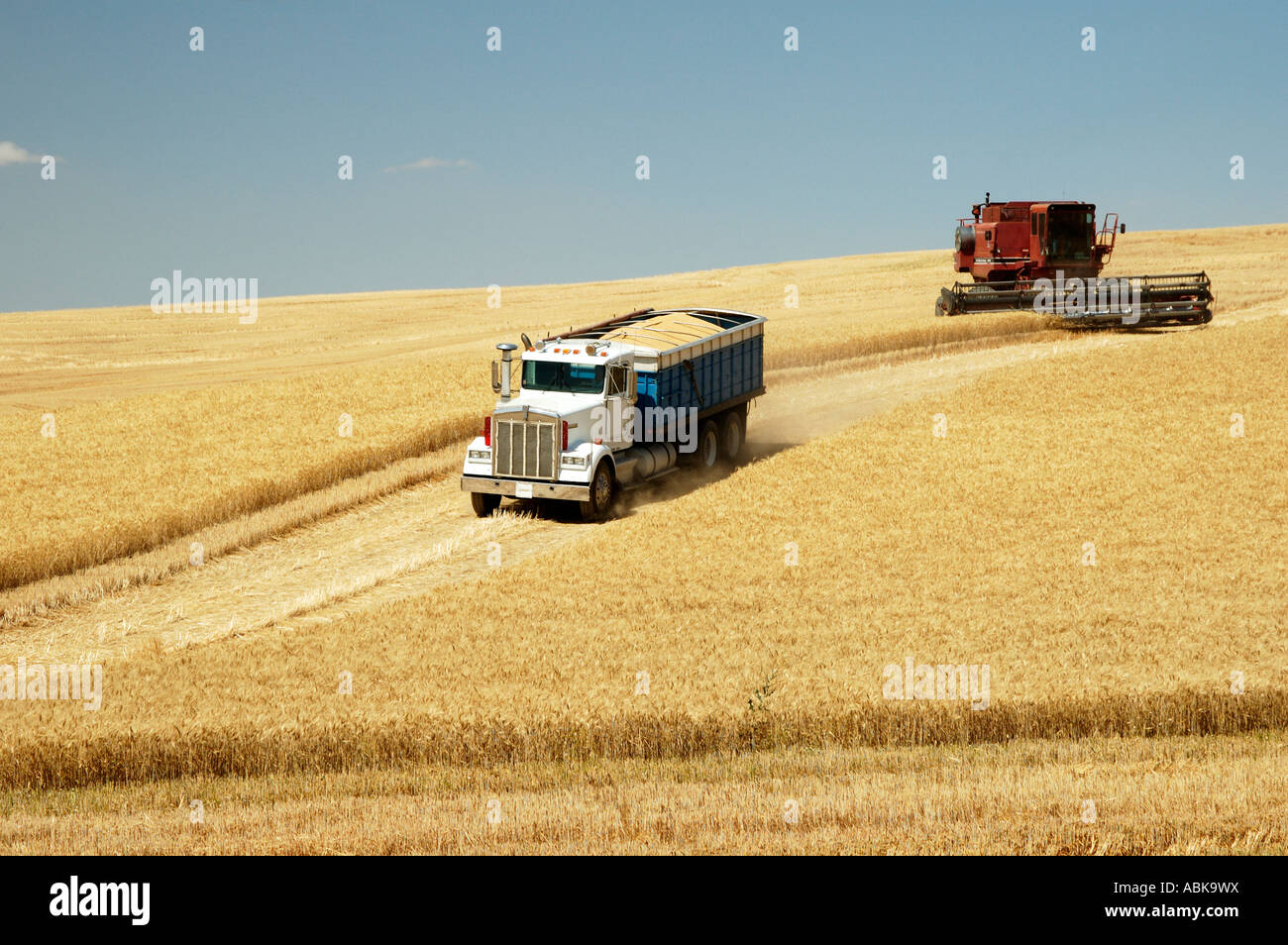 a combine harvesting wheat crops in the rolling hills of the Palouse ...