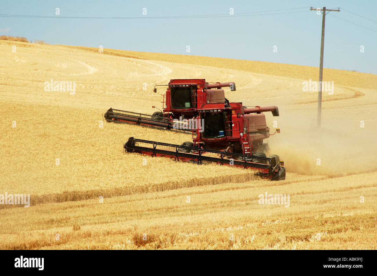 a pair of combines harvesting the wheat crops in the rolling hills of ...