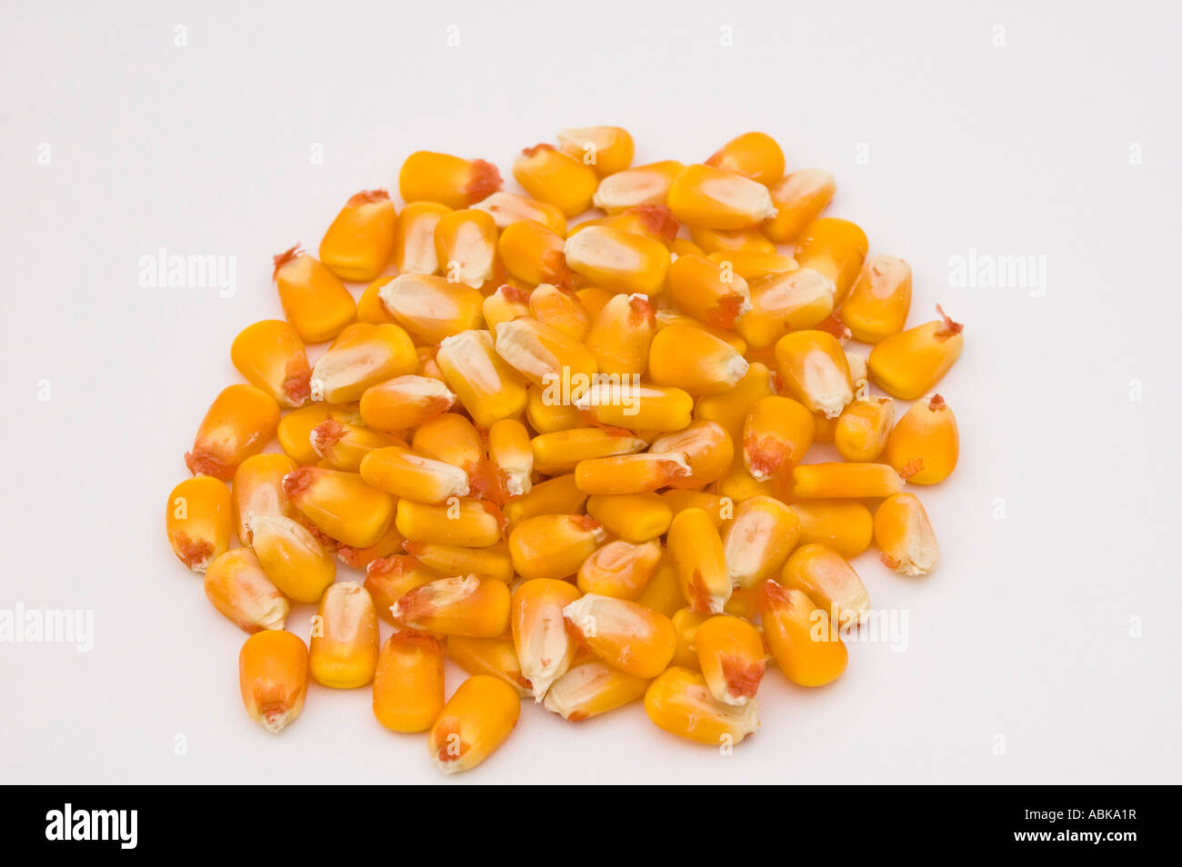 Shelled corn hi-res stock photography and images - Alamy