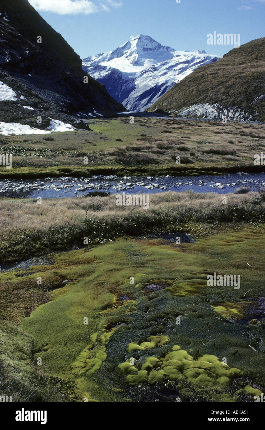 Mount Aspiring from Cascade Saddle in 1984 with moss and stream in ...