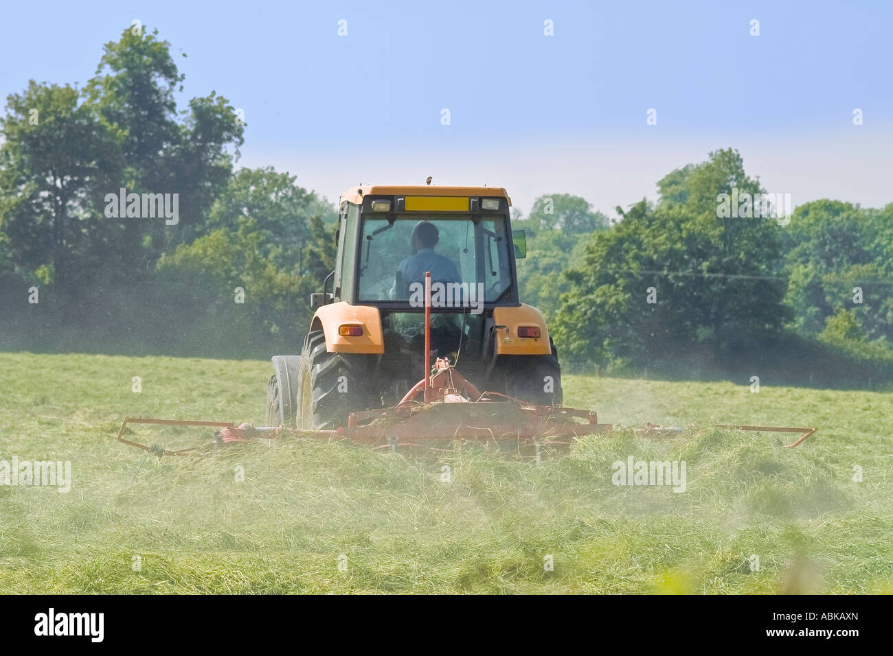 tractor cutting hay in spring field crop crops Stock Photo - Alamy