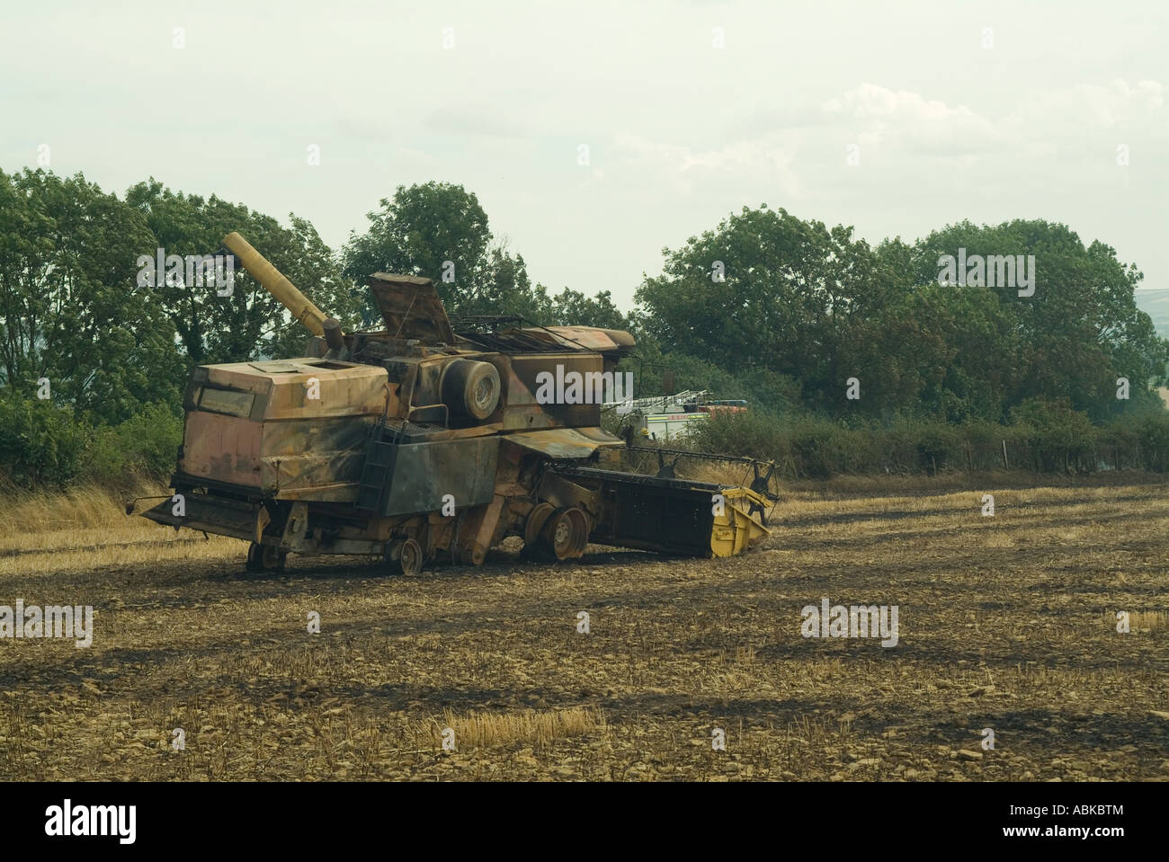 Barley damage hi-res stock photography and images - Alamy