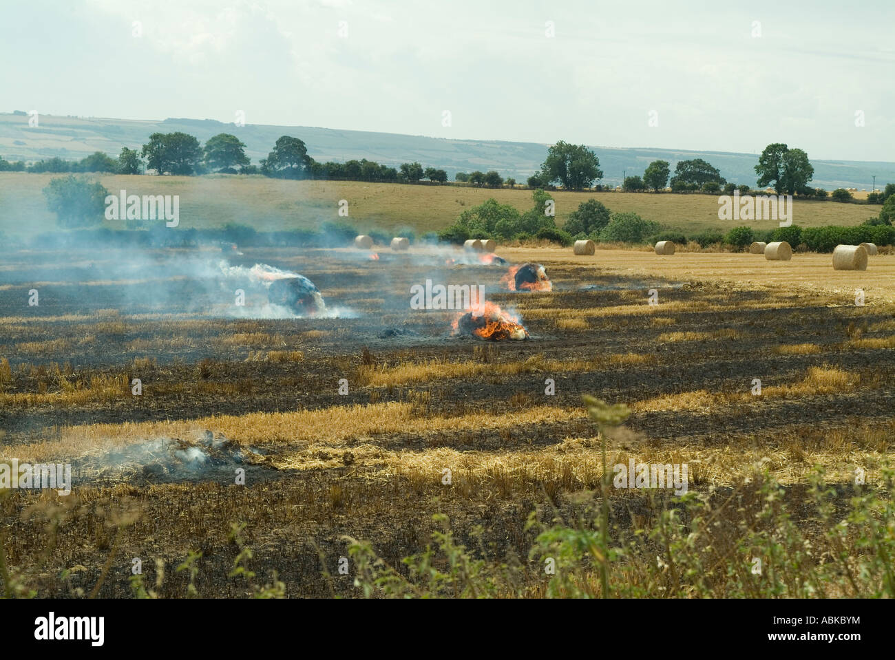 Round bales of straw burning following baler fire in field Stock Photo ...