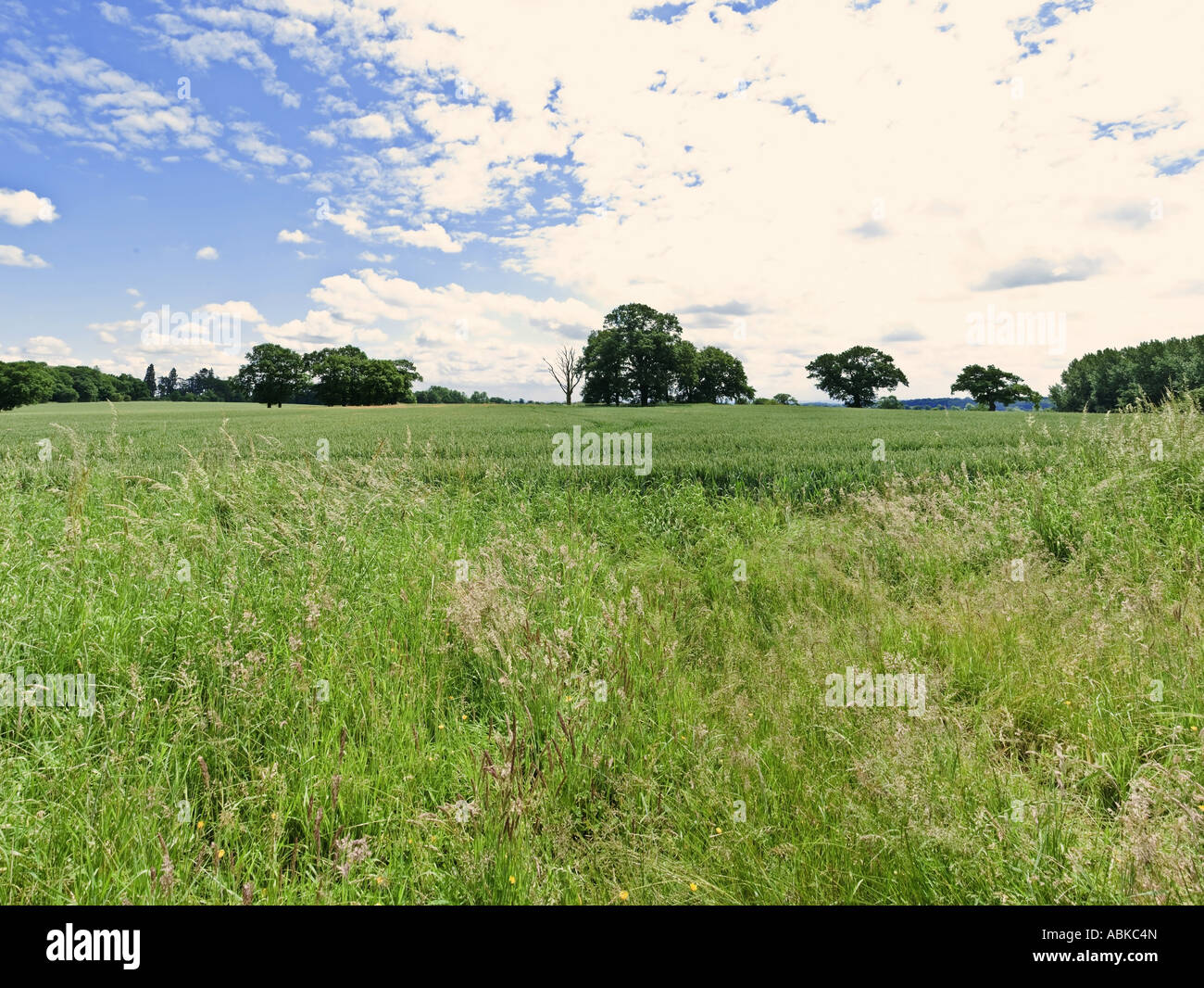 empty field after harvesting of arable crops farmland farm farming ...