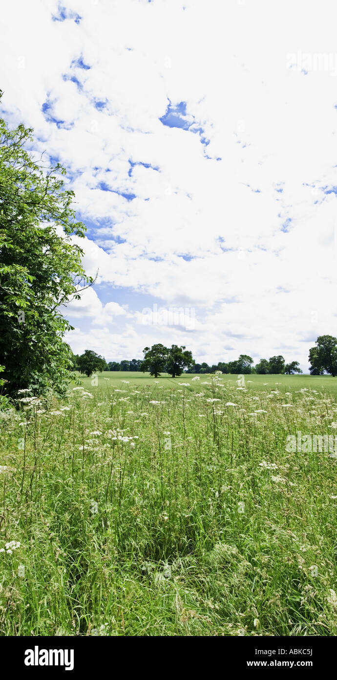 empty field after harvesting of arable crops farmland farm farming ...