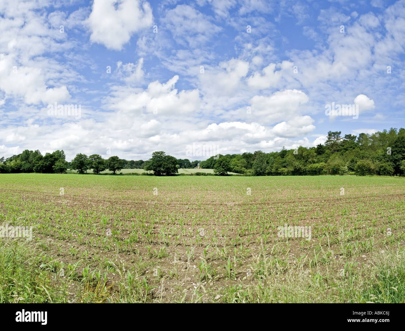 farmland empty field after harvesting of arable crops Stock Photo - Alamy