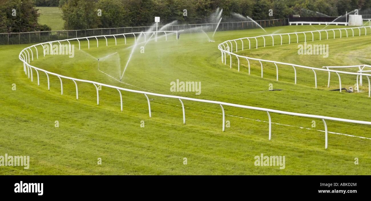 Sprinklers horse hi-res stock photography and images - Alamy