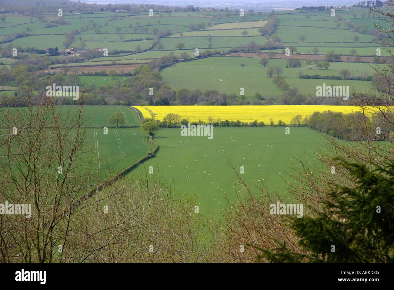 Apedale Stock Photos & Apedale Stock Images - Alamy