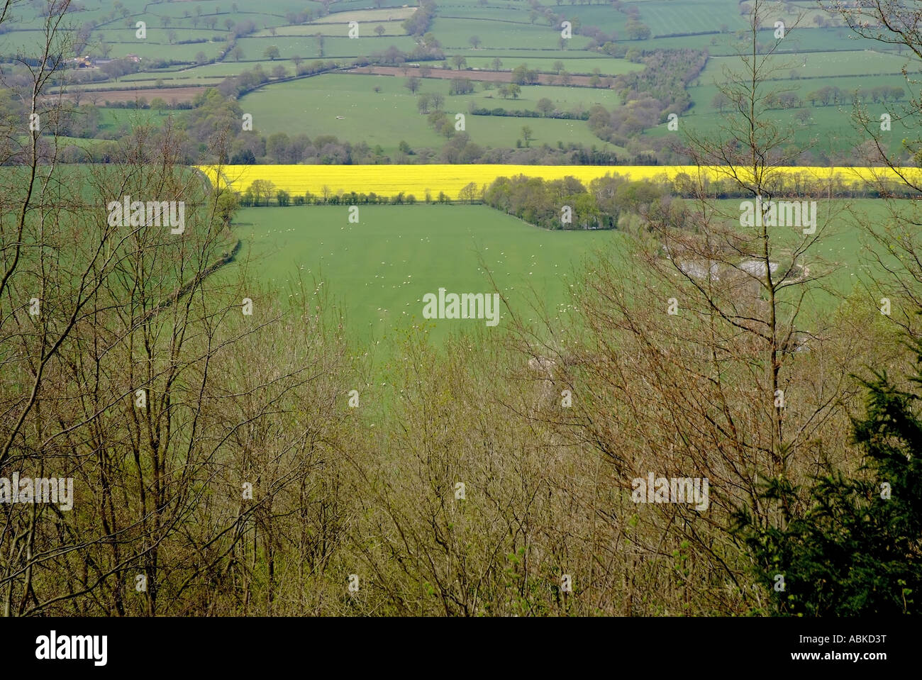 Apedale hi-res stock photography and images - Alamy