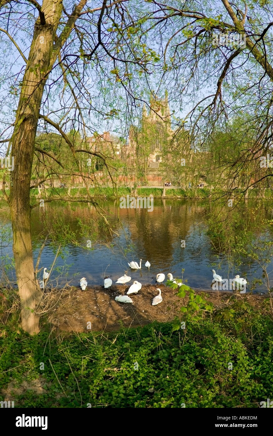 Worcester city the river severn worcestershire the midlands england uk ...