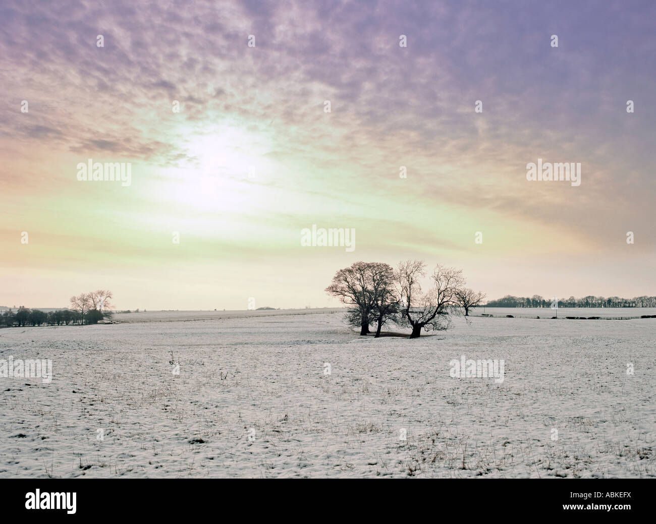 frost covered landscape christmas card scene motte and bailey castle ...