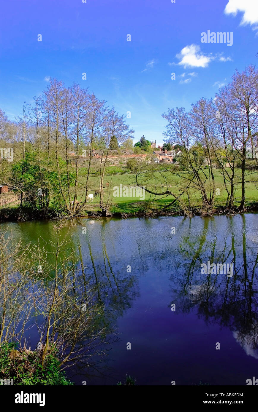 river teme ludlow shropshire england uk Stock Photo - Alamy