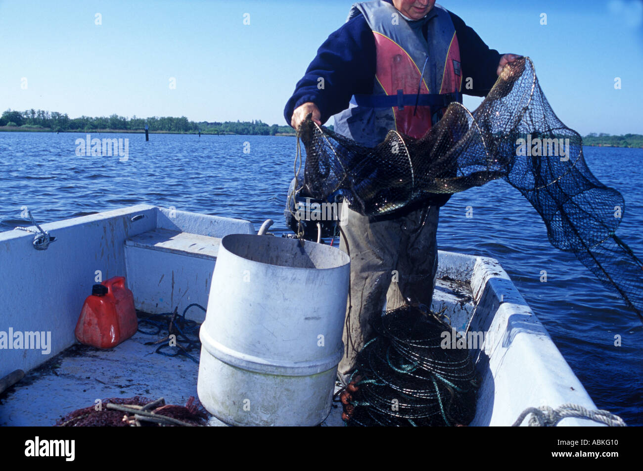 Eel Catcher High Resolution Stock Photography and Images - Alamy