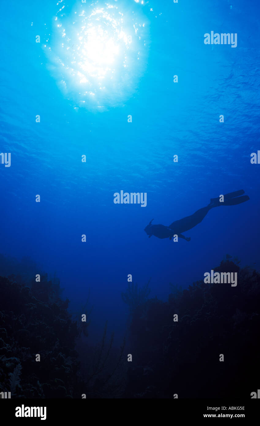 Freediving Mark Raven Stock Photo - Alamy
